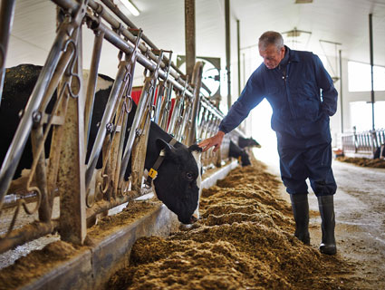 Animal Nutrition and Health | Cargill Thailand